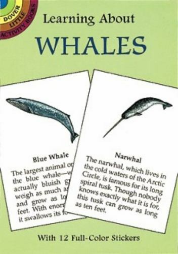 Learning about Whales by Sy Barlowe (1997, Trade Paperback) for sale ...