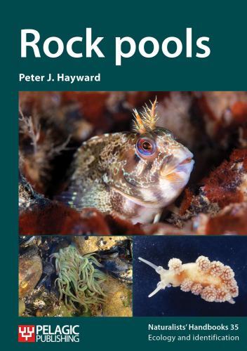 Rock Pools by Peter J. Hayward (2022, Trade Paperback) for sale online ...