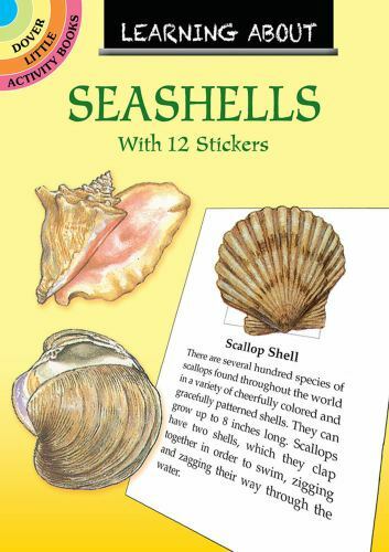 Learning about Shells by Sy Barlowe (2020, Trade Paperback) for sale ...