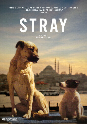 Stray (DVD) for sale online | eBay