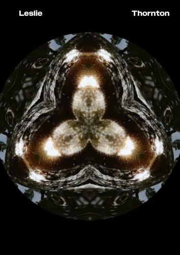 Leslie Thornton by Dan Kidner (2022, Trade Paperback) for sale online ...