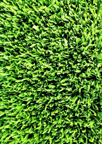 Jessica Stockholder : Grab Grassy This Moment Your I's by Allison and ...