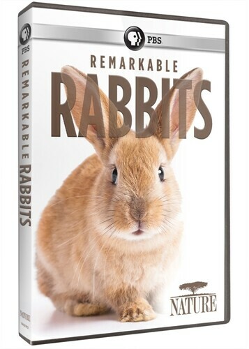 Nature: Remarkable Rabbits (DVD) for sale online | eBay