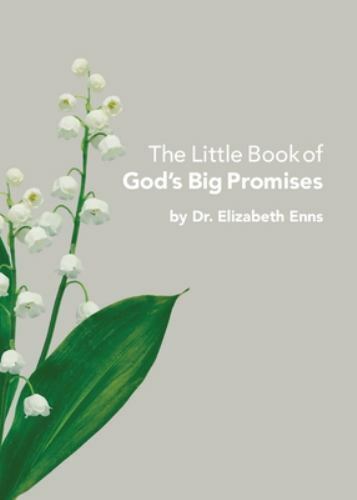 Little Book of God's Big Promises by Elizabeth Enns (2020, Trade ...