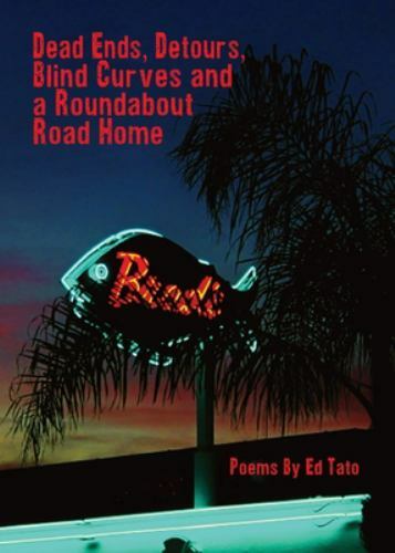 Dead Ends, Detours, Blind Curves and a Roundabout Home by Ed Tato (2020 ...