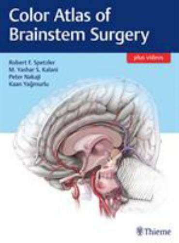 Color Atlas of Brainstem Surgery by M. Yashar Kalani (2017, Hardcover ...