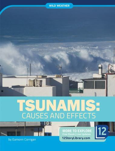Tsunamis: Causes and Effects by Eamonn Corrigan (2022, Trade Paperback) for sale online | eBay UK