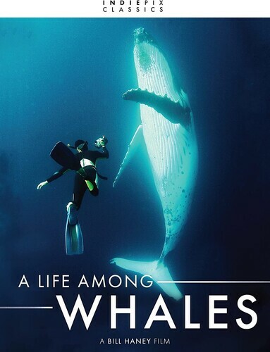 Indiepix Classics: Alife Among Whales (DVD, 2005) for sale online | eBay
