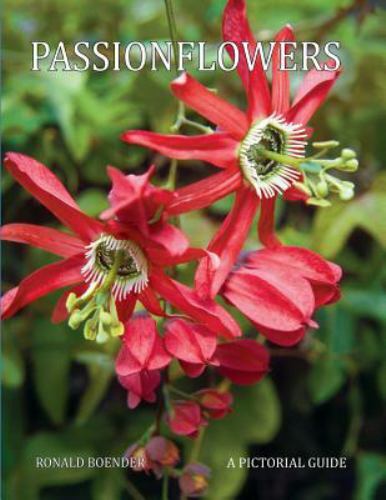 Passionflowers : A Pictorial Guide by Ronald Boender (2019, Trade ...