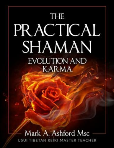 Practical Shaman - Evolution and Karma by Mark a Ashford (2020, Trade ...