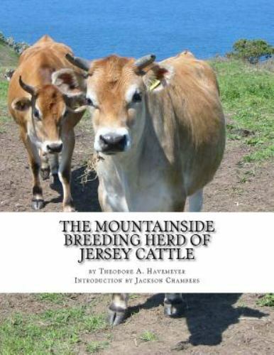 Mountainside Breeding Herd of Jersey Cattle : Of Mahwah, New Jersey by ...