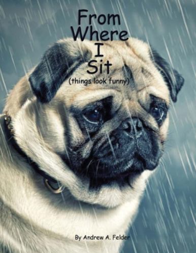 From Where I Sit (things Look Funny) by Andrew A. Felder (2021, Trade ...