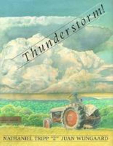 Thunderstorm! by Nathaniel Tripp (1994, Hardcover) for sale online | eBay