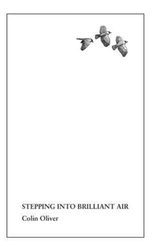 Stepping into Brilliant Air by Colin Oliver (2020, Hardcover) for sale ...