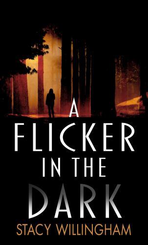 Flicker in the Dark by Stacy Willingham (2022, Library Binding) for ...