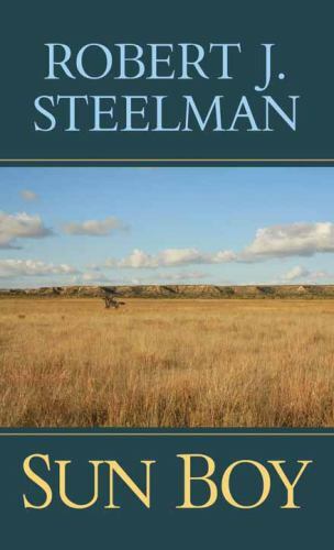 Sun Boy by Robert J. Steelman (2017, Library Binding) for sale online ...