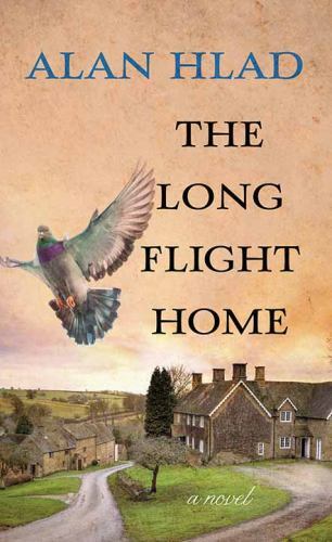 Long Flight Home by Alan Hlad (2019, Library Binding) for sale online ...