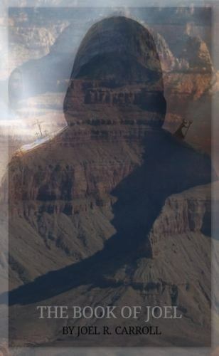 Book of Joel by Joel Carroll (2020, Trade Paperback) for sale online | eBay