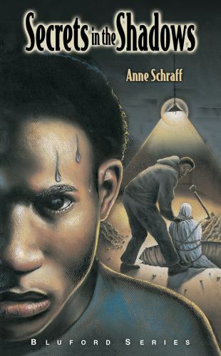 Secrets in the Shadows: #3 by Anne Schraff (2021, Library Binding) for ...