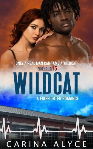 Wildcat : A Steamy Firefighter Romance by Carina Alyce (2021, Trade ...