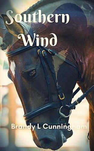 Southern Wind by Brandy Cunningham (2017, Trade Paperback) for sale ...