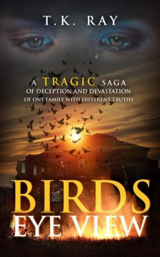 Bird's Eye View by Tk Ray (2020, Trade Paperback) for sale online | eBay