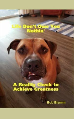 Life Don't Owe You Nothin' : A Reality Check to Achieve Greatness by ...