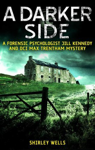 Darker Side by Shirley Wells (2008, Hardcover) for sale online | eBay