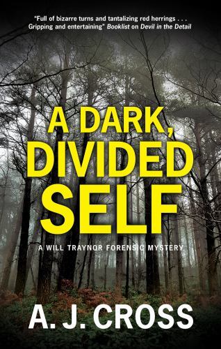 Dark, Divided Self by A. J. Cross (2022, Hardcover) for sale online ...
