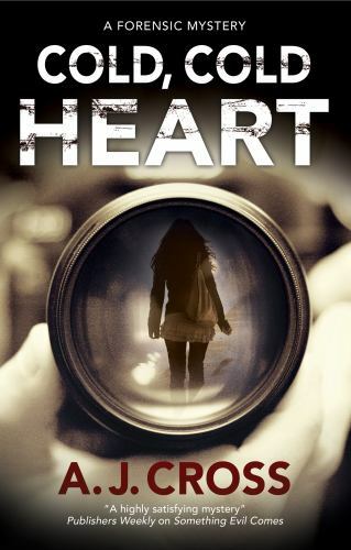 Cold, Cold Heart by A. J. Cross (2019, Uk-Trade Paper) for sale online ...