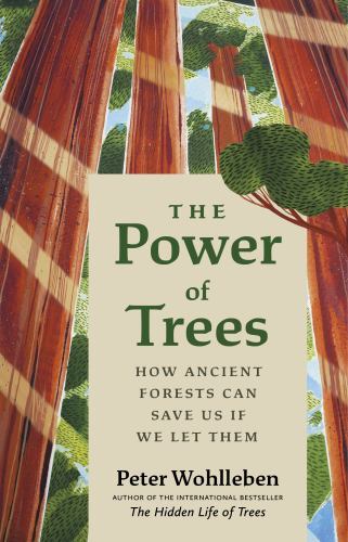 Power of Trees : How Ancient Forests Can Save Us If We Let Them by ...