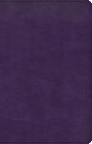 CSB Large Print Personal Size Reference Bible, Purple LeatherTouch ...