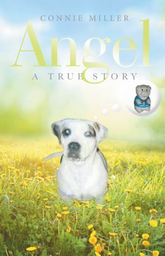 Angel : A True Story by Connie Miller (2022, Trade Paperback) for sale ...