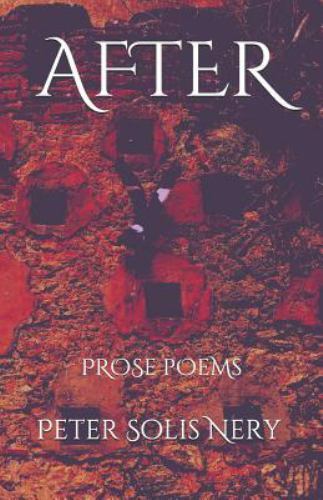 After : Prose Poems by Peter Solis Nery (2019, Trade Paperback) for ...