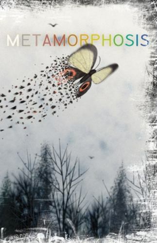 METAMORPHOSiS by Rex Beck (2017, Trade Paperback) for sale online | eBay