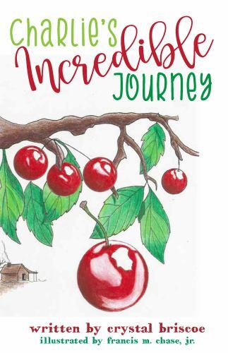 Charlie's Incredible Journey by Crystal Briscoe (2022, Hardcover) for ...