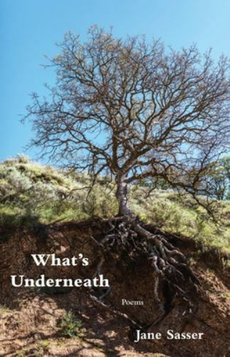 What's Underneath by Jane Sasser (2020, Trade Paperback) for sale ...