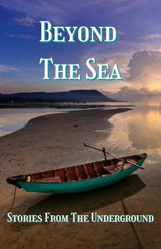Beyond the Sea : Stories from the Underground by Cindy Davis ...