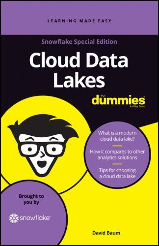 Cloud Data Lakes for Dummies, Snowflake Special Edition (Custom) by David Baum (2019, Trade ...