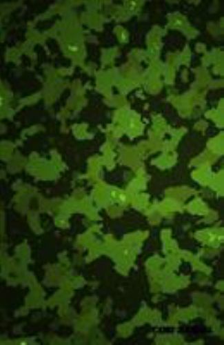 Camo Journal : Midnight Green Camouflage, 108 Pages by I. J. Publishing ...