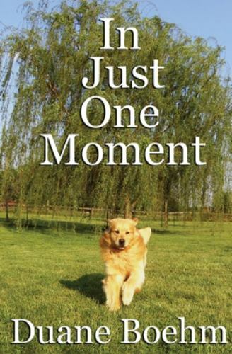 In Just One Moment by Duane Boehm (2013, Trade Paperback) for sale ...