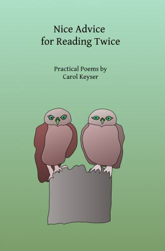 Nice Advice for Reading Twice by Carol Keyser (2019, Hardcover) for ...
