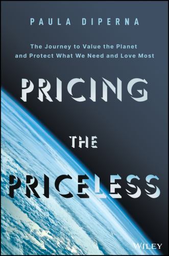 Pricing the Priceless : The Financial Transformation to Value the ...