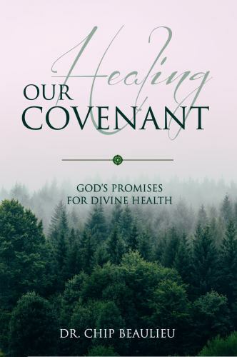 Our Healing Covenant : God's Promises for Divine Health by Chip ...