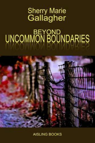 Beyond Uncommon Boundaries by Sherry Marie Gallagher (2017, Trade ...