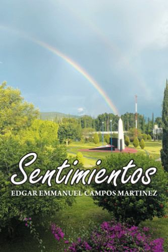 Sentimientos by Edgar Emmanuel Campos Martinez (2022, Trade Paperback ...
