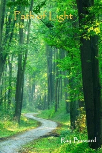 Path of Light by Ray Bussard (2021, Trade Paperback) for sale online | eBay