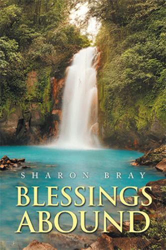 Blessings Abound by Sharon Bray (2022, Hardcover) for sale online | eBay