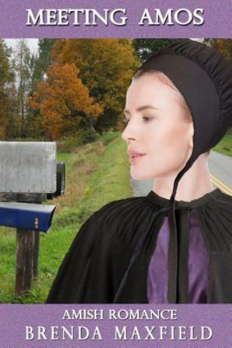 Amish Romance: Meeting Amos by Brenda Maxfield (2018, Trade Paperback ...
