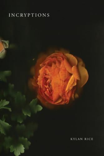 Incryptions by Kylan Rice (2021, Trade Paperback) for sale online | eBay